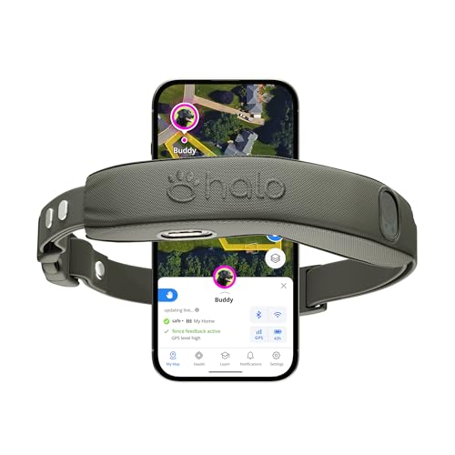 Halo Collar Review (2026): Honest Verdict After Testing | The Inspect ...